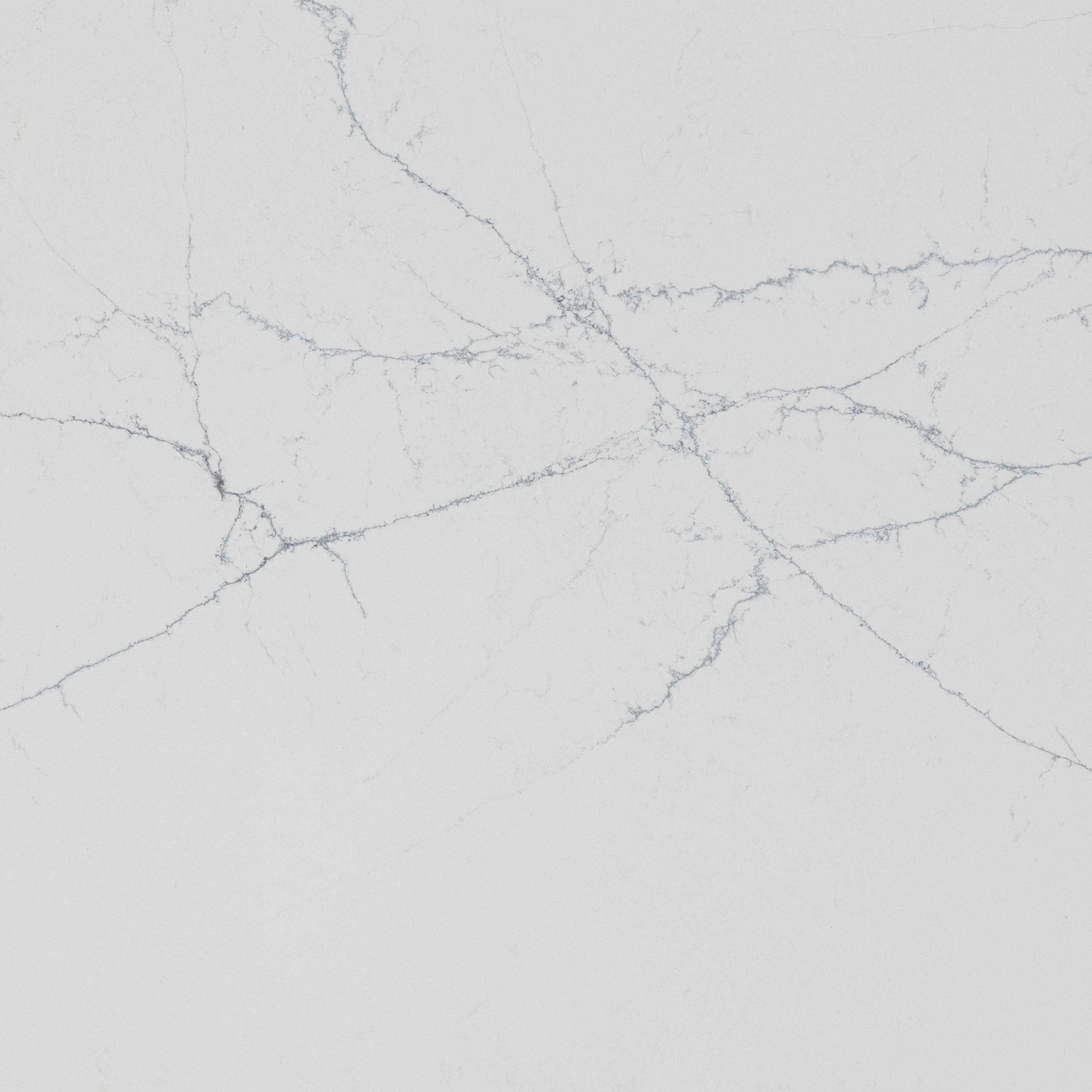 Planet Neptune 2025 - RCD Design Center