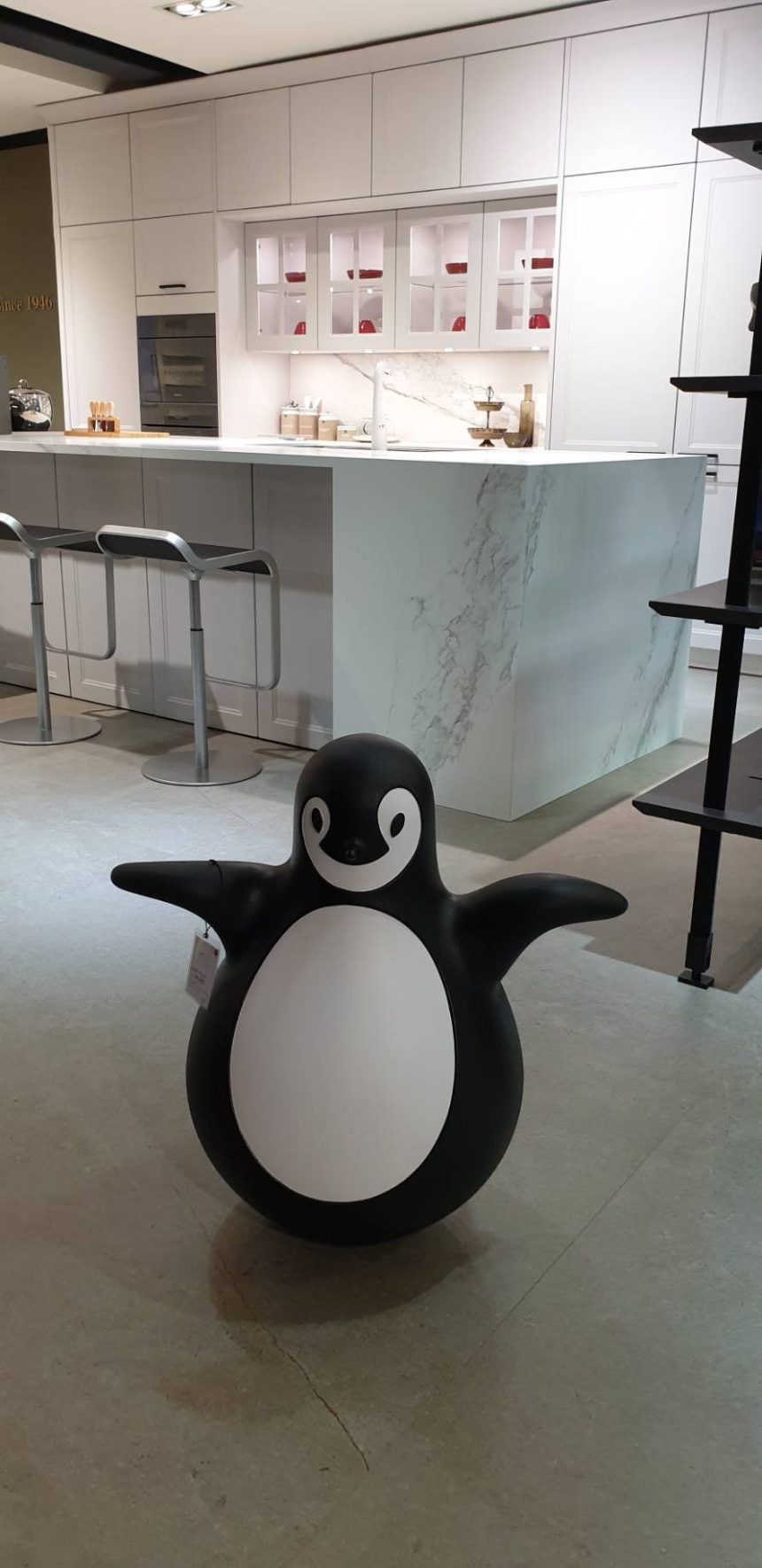 Pingy – RCD Design Center